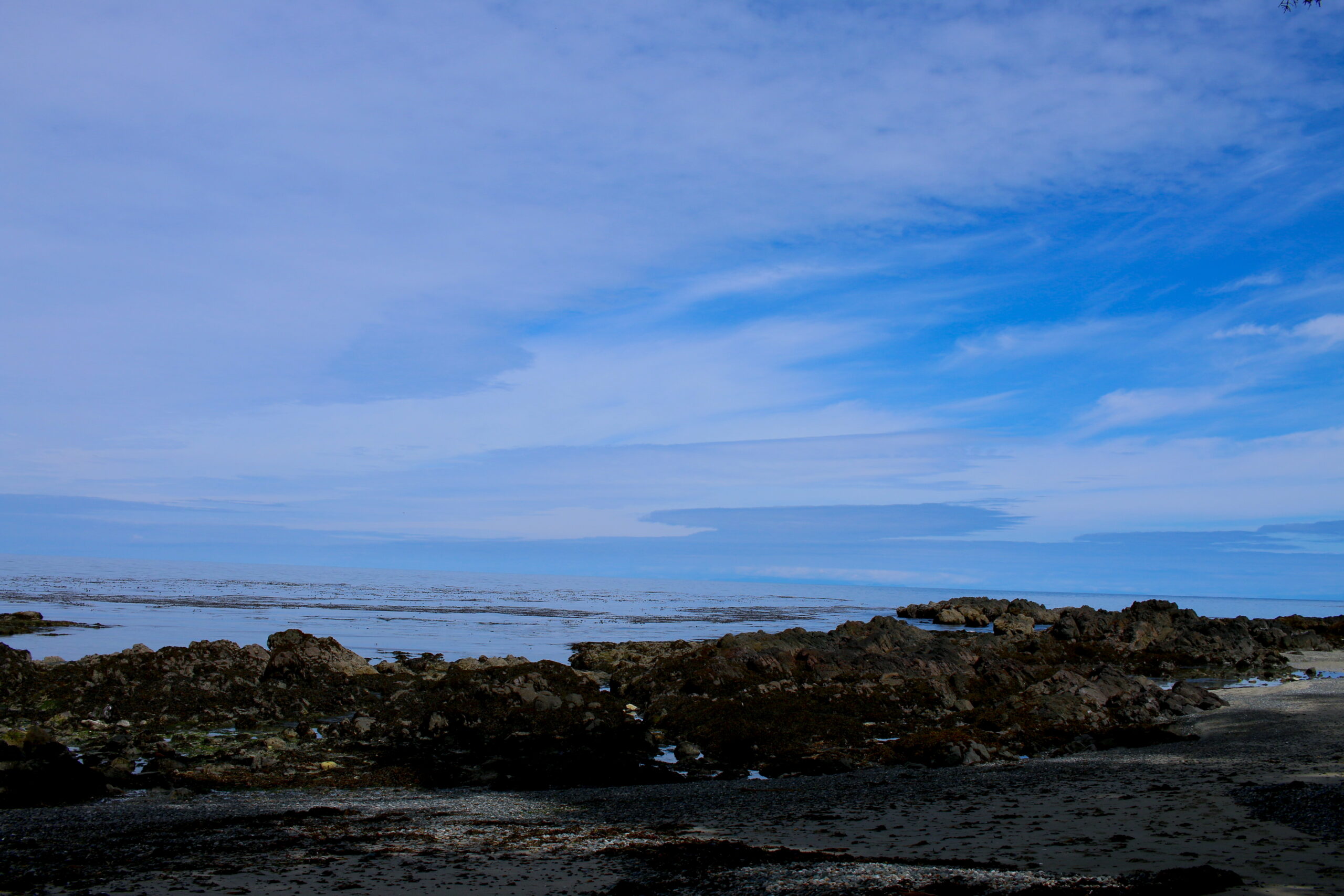 CAPE SCOTT - OTC50